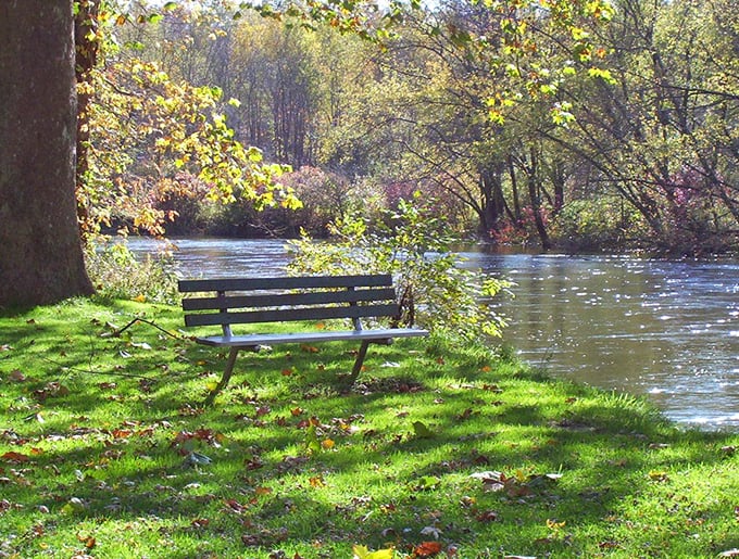 This riverside bench has heard more retirement plans and fishing stories than a financial advisor at a bait shop. Pure Pennsylvania tranquility.