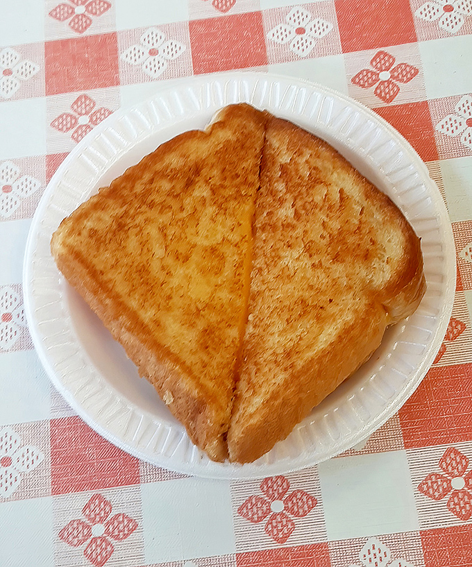 A perfectly grilled cheese sandwich that achieves that elusive golden-brown perfection&mdash;proof that simplicity, when done right, needs no explanation.
