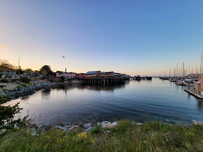 Sunset bathes the harbor in golden light, transforming fishing boats into silhouettes worthy of a retirement brochure—but actually delivers on the promise.