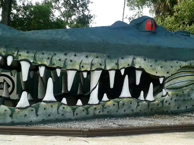 Dentists everywhere are jealous of this impressive dental work. Swampy's smile has welcomed visitors through decades of Florida sunshine.