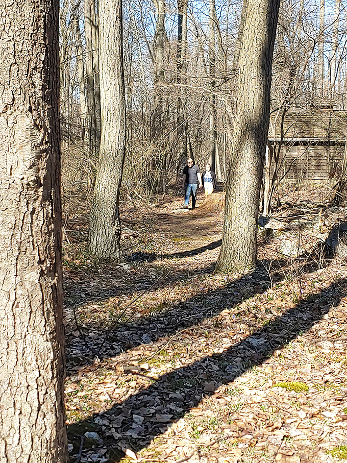 Forest paths like these remind you why walking meetings should always be held outdoors.