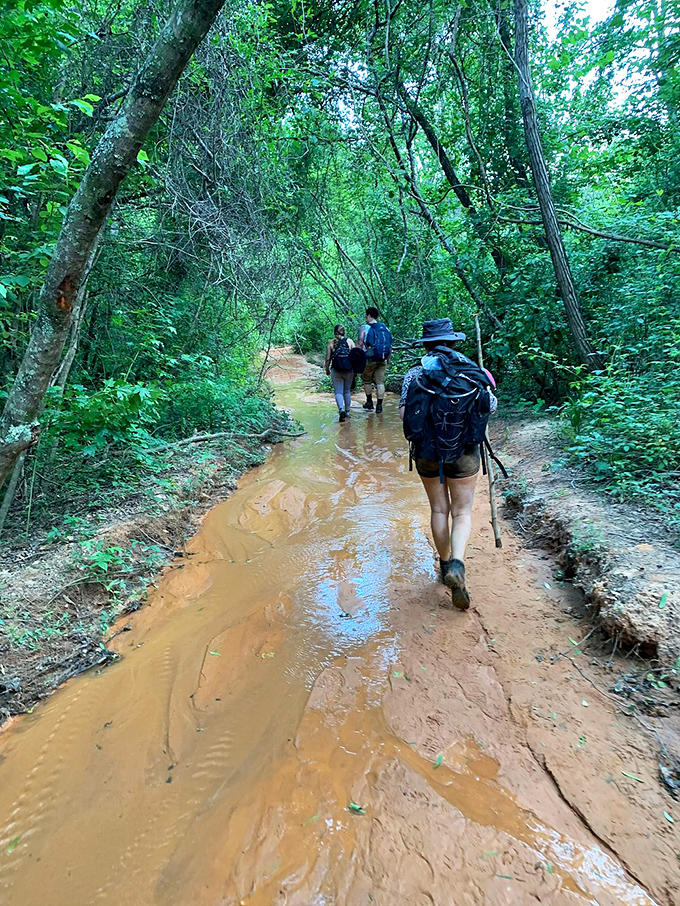 After rain, the trail becomes an authentic mud spa experience whether you signed up or not.