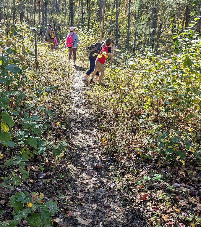 The trail to Rocky Falls proves that sometimes the journey is as beautiful as the destination. Nature's red carpet treatment.
