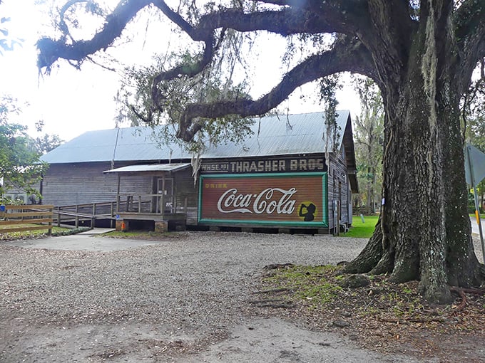 The Thrasher Store, with its vintage Coca-Cola sign, offers a glimpse into Florida's rural past. Even the oak tree seems to be standing guard.
