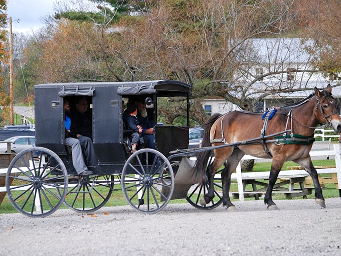 The rhythmic clip-clop of hooves provides the soundtrack to your journey&mdash;nature's original surround sound system, no headphones required.
