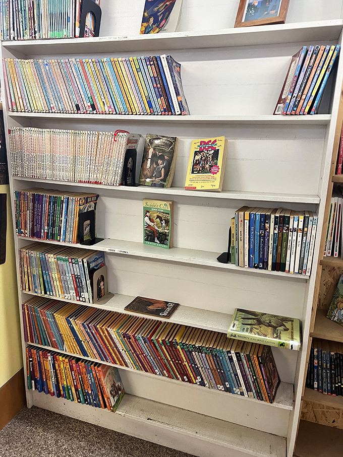 Children's classics and teen favorites line these shelves, many showing the loving wear of multiple readings &ndash; proof that good stories never really grow old.
