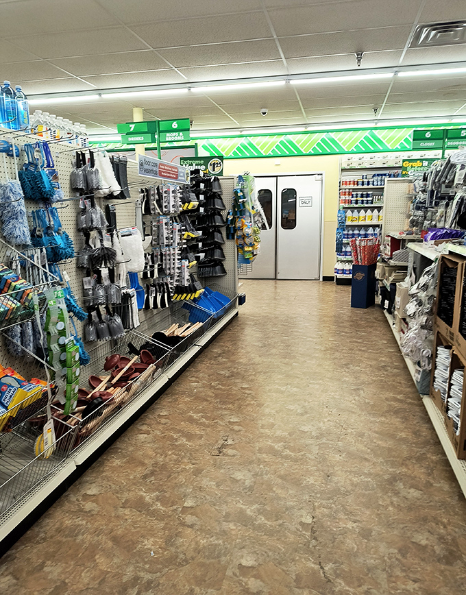 The clean, wide aisles invite exploration like a budget-friendly Magellan expedition, minus the scurvy and with better lighting.