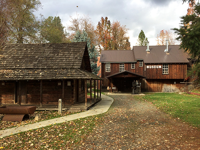 Jake Jackson Museum houses Gold Rush artifacts that tell stories money can't buy today. 