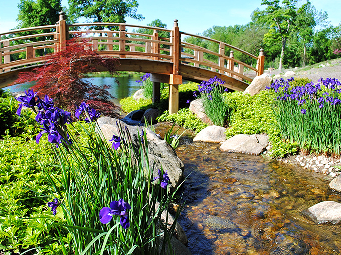 This curved wooden bridge isn't just for crossing water&mdash;it's for crossing into a different state of mind, complete with iris sentinels standing guard. 