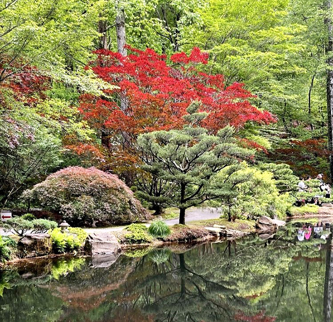 Japanese maples create a painter's palette of reds against greens, their reflections doubling the visual feast. Mother Nature showing off.