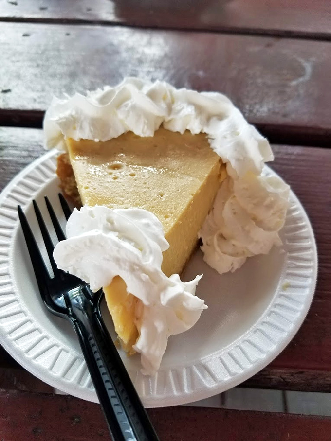 Key lime pie so authentic it should require a passport. That whipped cream crown deserves its own Florida citizenship.
