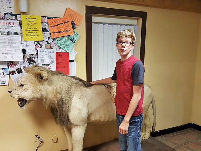 The interior space features vintage decor including a mounted lion. This unexpected touch adds to the quirky charm that makes this place unforgettable.