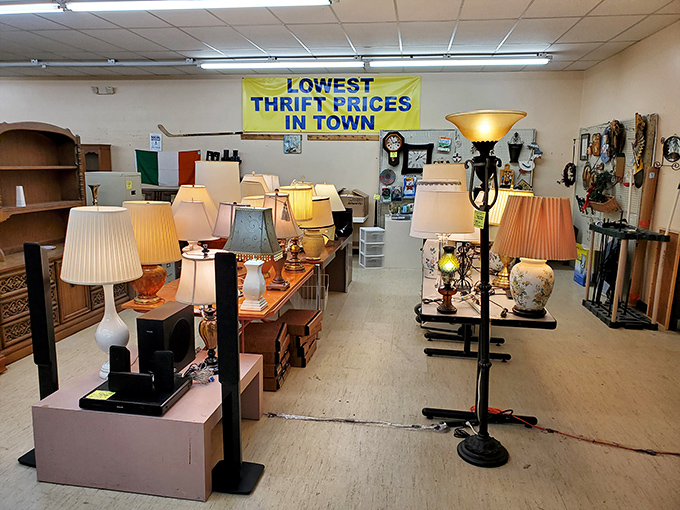 Illumination inspiration! These lamps aren't just lighting fixtures&mdash;they're conversation pieces waiting to brighten someone's living room and day.