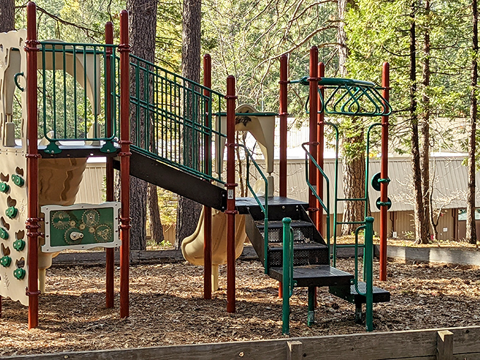 Childhood memories are made at Arnold's community playgrounds, where pine-scented air replaces the antiseptic smell of indoor play places.