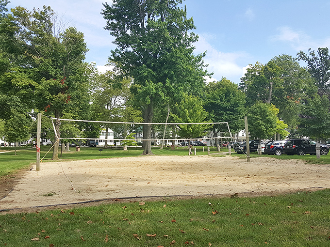 Nothing says "summer in Ohio" quite like an impromptu volleyball match in a park where the nets are always up and the competition friendly.