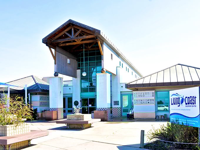 Not your average nature center! The Living Coast Discovery Center brings San Diego Bay's ecosystem to life without the crowds of bigger attractions.