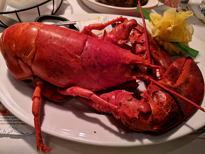 Maine lobster so impressive it deserves its own ZIP code, presented with the dignity befitting an ocean monarch that sacrificed everything for your dinner.