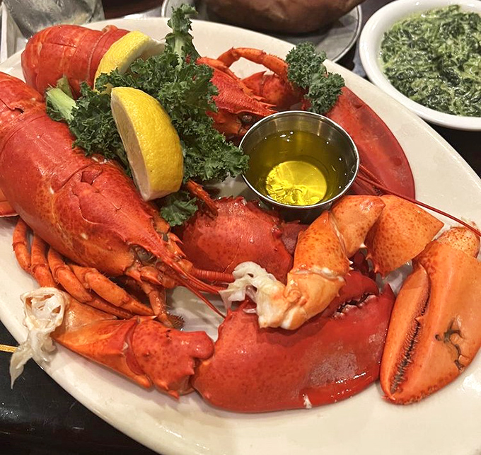 Maine lobster in Florida? When it looks this gloriously red and ready for its butter bath, geography becomes irrelevant to your taste buds.