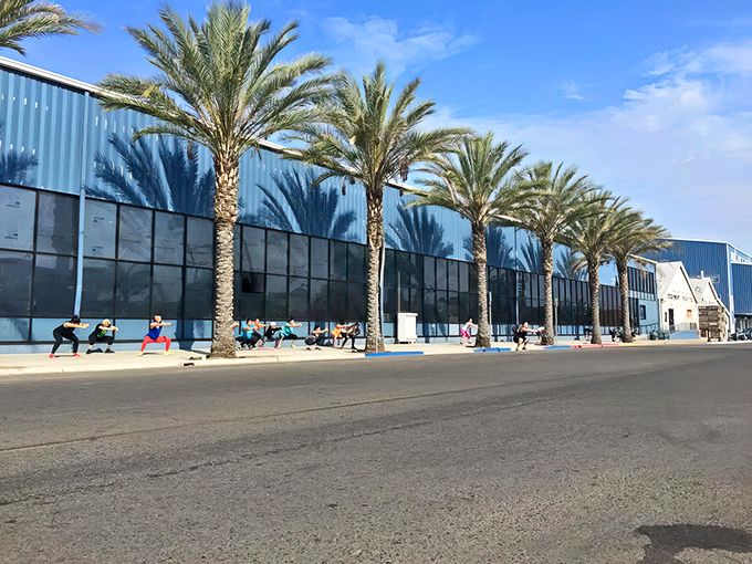 McDermont X isn't just a building&mdash;it's a community hub where palm trees stand guard over fitness enthusiasts and recreation seekers.