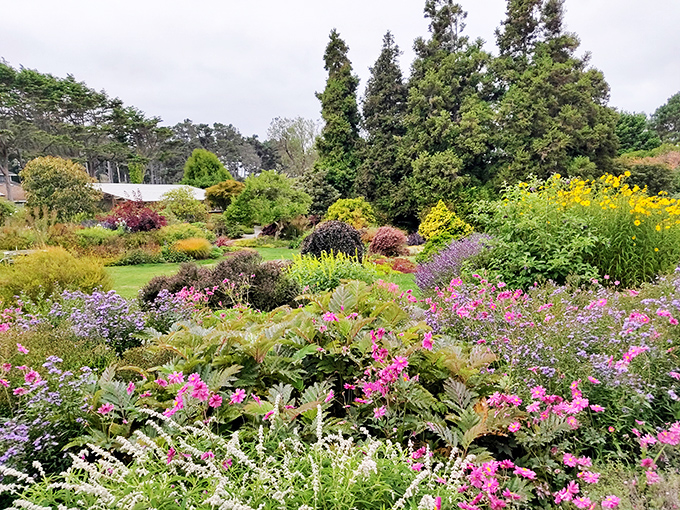 The Botanical Gardens explode with color like Mother Nature's own art gallery, showcasing coastal blooms in their natural splendor.