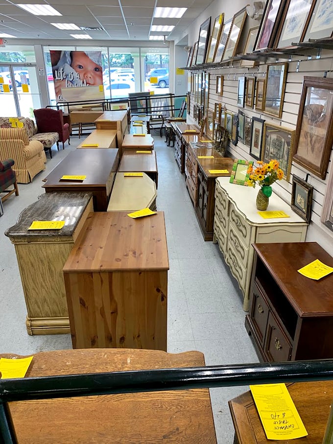 Wooden treasures with stories to tell &ndash; each dresser and cabinet waiting for its second act in someone's carefully curated home.