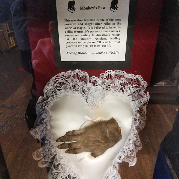 The legendary Monkey's Paw sits delicately on lace, looking innocent enough. Be careful what you wish for&mdash;this artifact comes with warnings for good reason.