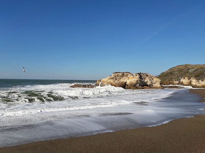 Nature's own infinity pool. Moonstone Beach delivers drama, serenity, and the kind of waves that sound better than any white noise machine.