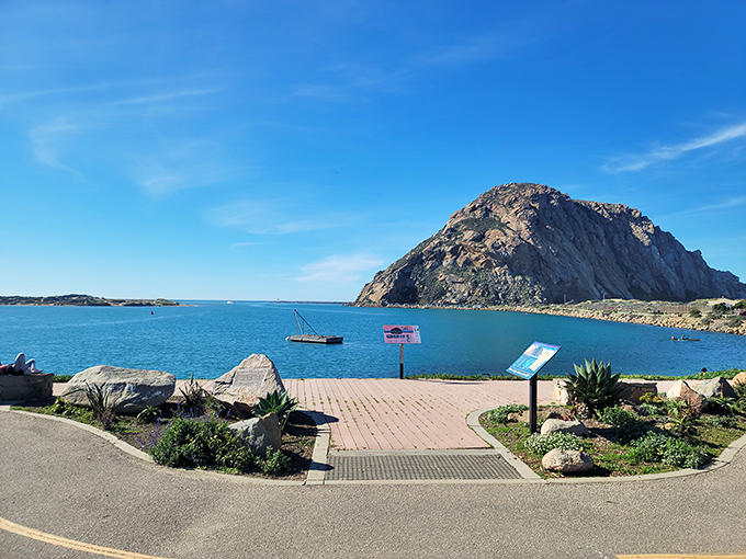 Morro Bay's protected waters offer the perfect kayaking classroom for nervous beginners and confident paddlers alike.