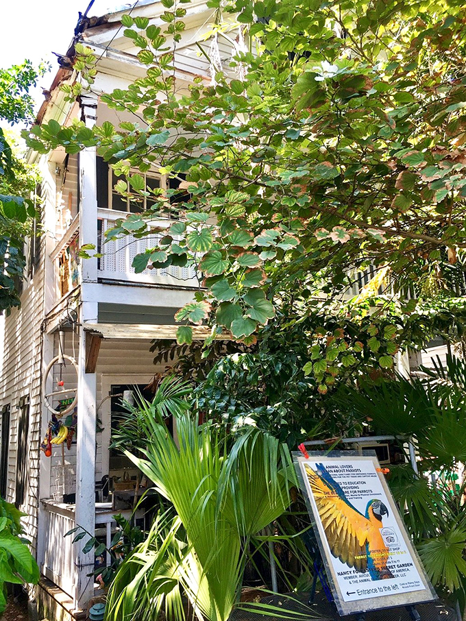 Secret gardens in Key West aren't just hidden&mdash;they're living treasures where tropical plants compete to outdo each other in the lushness Olympics.