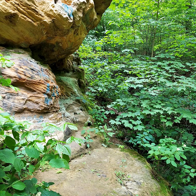 The narrow path reveals Jug Rock's secrets from angles that make photographers weep with joy.