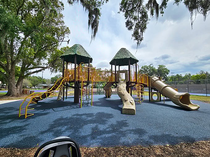 Grandkids' paradise alert! Nye Jordan Park offers modern playground equipment under the watchful eyes of Florida's magnificent oak trees.