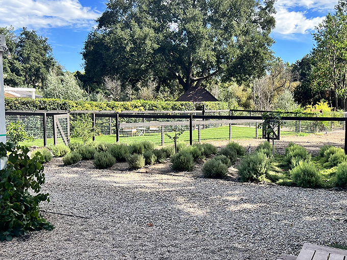 Mediterranean meets California in these meticulously maintained gardens. Drought-tolerant never looked so inviting.