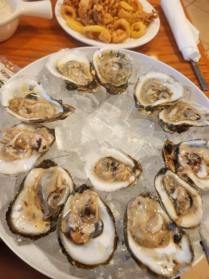 A dozen fresh oysters on ice &ndash; nature's perfect appetizer and proof that sometimes the best things come in shell packages.