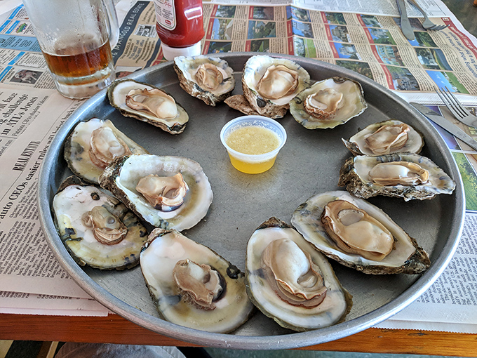 These oysters aren't just seafood&mdash;they're little cups of the Atlantic, served with a side of maritime history and melted butter.