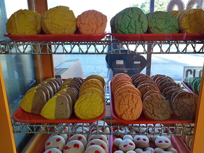 A rainbow of pan dulce that makes donuts look like underachievers. These colorful Mexican pastries are what breakfast dreams are made of.