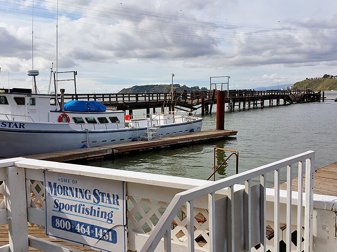 Morning Star Sportfishing promises adventures on the water where the only "phishing" involves actual bait and tackle, not suspicious emails.