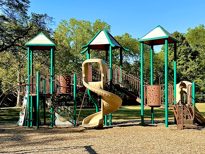 This playground isn't streaming on Netflix, but it's still the best show in town for kids with energy to burn.