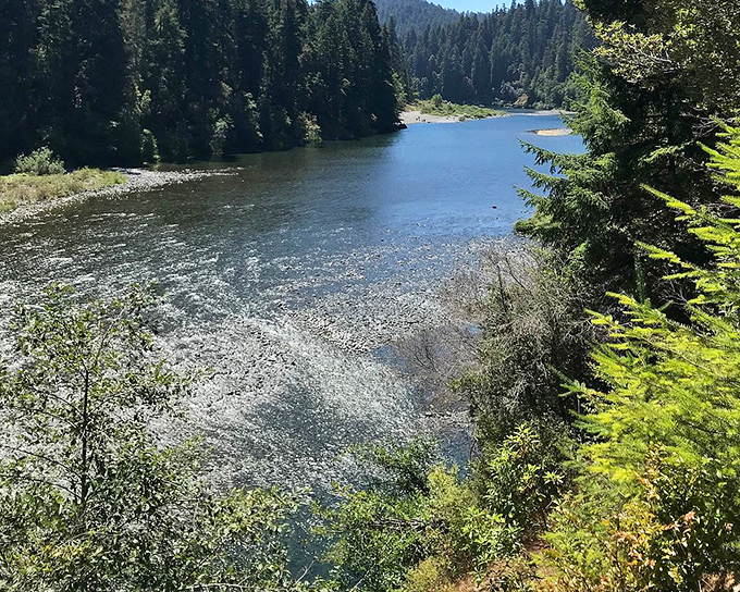The Eel River cuts through Humboldt County's forests like a blue ribbon on a perfect gift. Nature doesn't get more cinematically perfect than this.