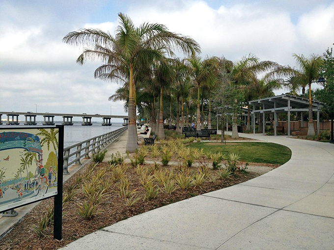 Palm trees stand sentinel along Bradenton's waterfront parks, where landscapers somehow maintain that perfect balance between "tropical paradise" and "actually usable public space."