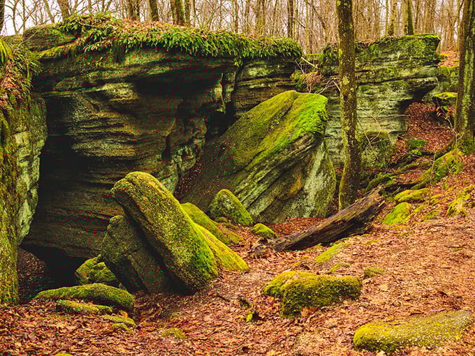 Ancient sandstone blocks create nature's puzzle box. The vibrant moss provides a splash of color against the earthy tones, like nature's own interior decorator went wild.