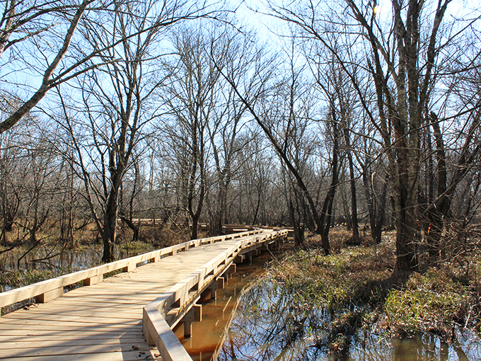 Nature's version of a meditation app comes free at Rocky River Nature Park. This wooden boardwalk through wetlands offers more peace than any yoga class&mdash;and no awkward poses required.