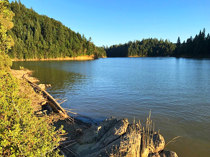 Rollins Lake glimmers like nature's infinity pool, ringed by pines that stand like guardians of this Sierra Nevada treasure.
