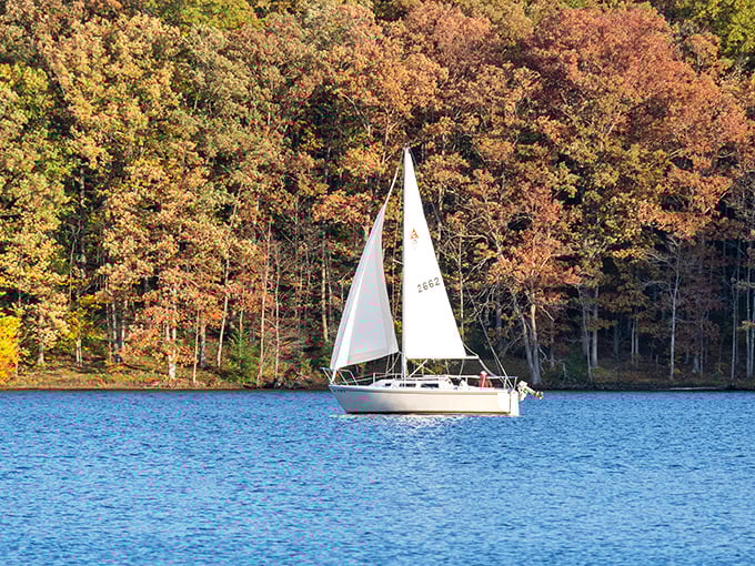 Autumn sailing never looked so good. As fall paints the shoreline in amber and gold, this lone sailboat captures the essence of peaceful adventure.
