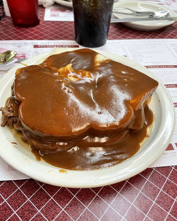 Not so much a sandwich as an edible monument to gravy. When your meal requires this much napkin real estate, you know you're somewhere special.