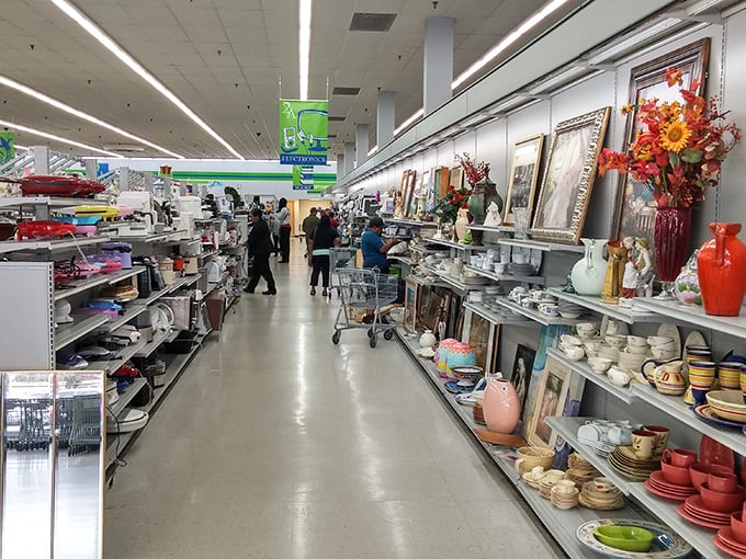 Ceramic plates and bowls stack like edible archaeology, each piece telling stories of dinner parties past.