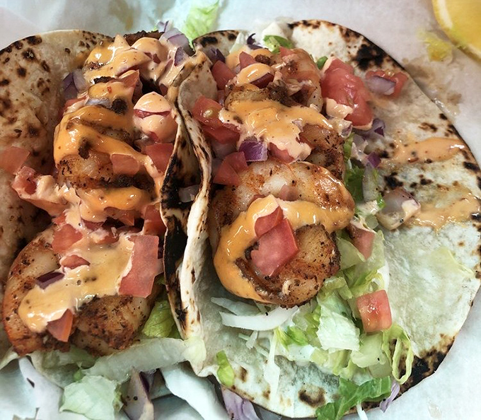 Shrimp tacos that make you question why you'd ever eat anything else. The char on those tortillas is the culinary equivalent of a perfect sunset.