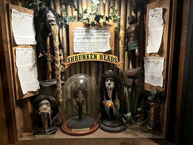 The shrunken heads display combines the educational with the macabre. Your high school biology teacher would be equally fascinated and horrified.