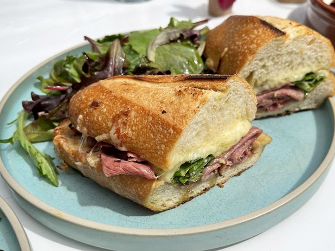 This sandwich isn't just lunch&mdash;it's architecture. Perfectly toasted bread creating the foundation for what might be the most photogenic meal in Sonoma.
