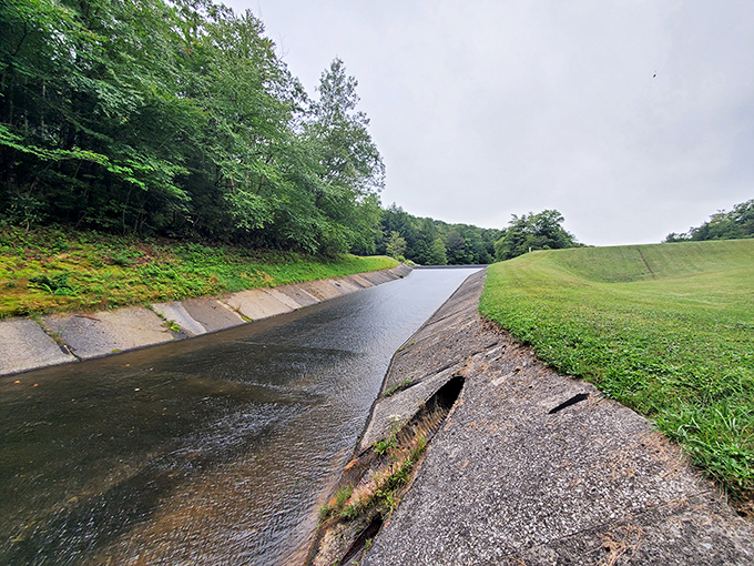 Engineering meets nature at Kooser's spillway. Water lazily meanders along this man-made channel, creating a surprisingly meditative soundtrack for afternoon strolls.