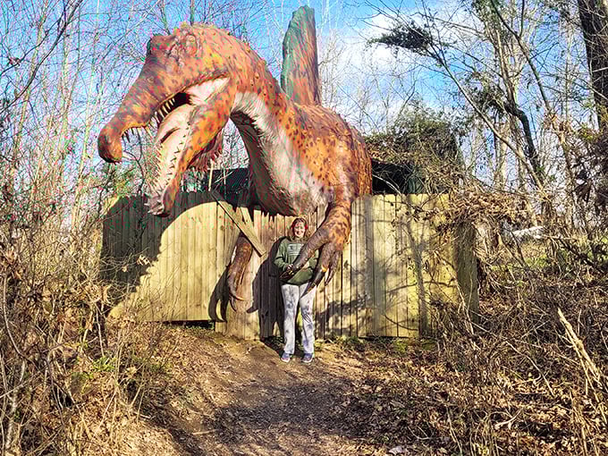 The winter forest reveals this spotted Triceratops in all its glory. Even without leaves on the trees, this dinosaur doesn't seem to mind the cooler Tennessee weather.